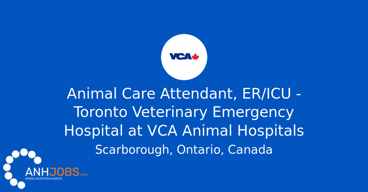 Animal Care Attendant, ER/ICU - Toronto Veterinary Emergency Hospital ...